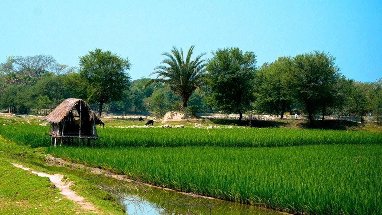 The Normative Lifestyle of Rural Communities - YouTube