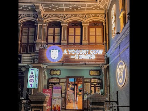 A YOGURT COW (Nagore Square). It's All About Yogurt ! Kids Just LUV It ...