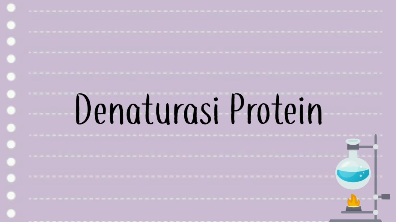 Denaturasi Protein - YouTube