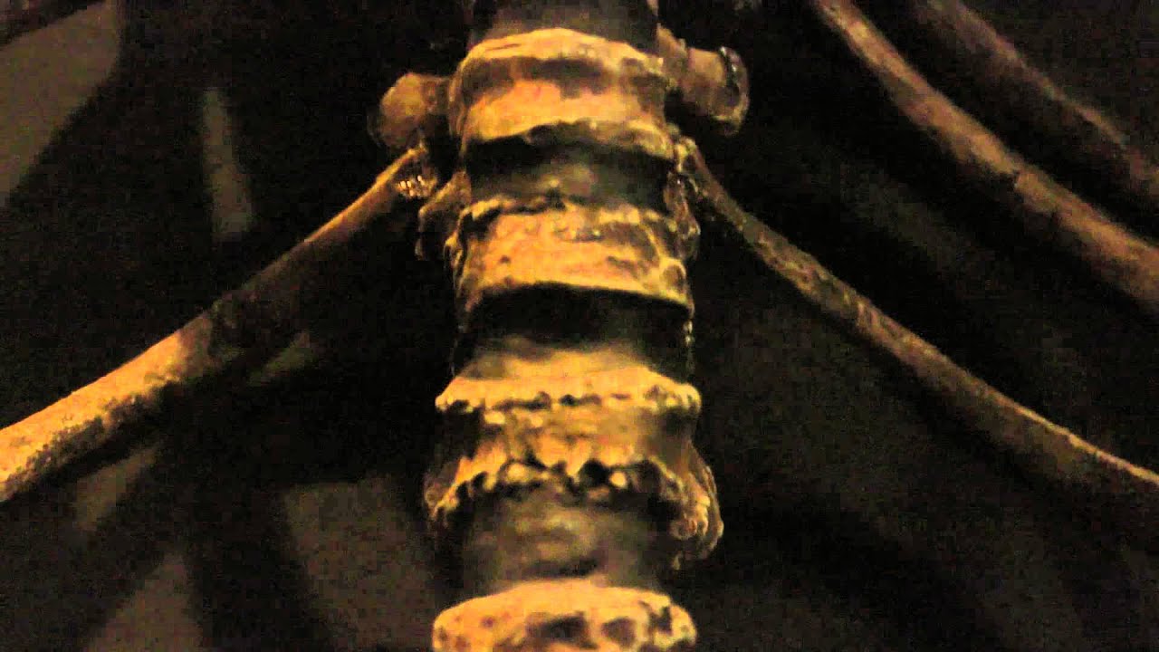 Do Macaco ao Homem - YouTube