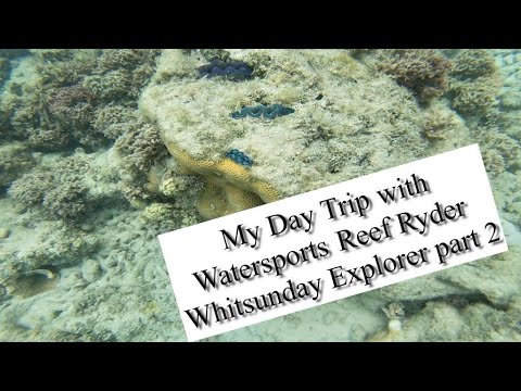 My day tour with Watersports Reef Ryder Whitsunday Explorer part 2 ...