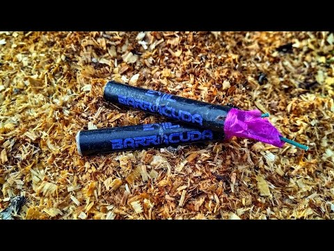 Evil Barracuda Zena - YouTube