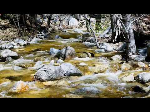 Peaceful Strawberry Creek, Idyllwild CA - YouTube
