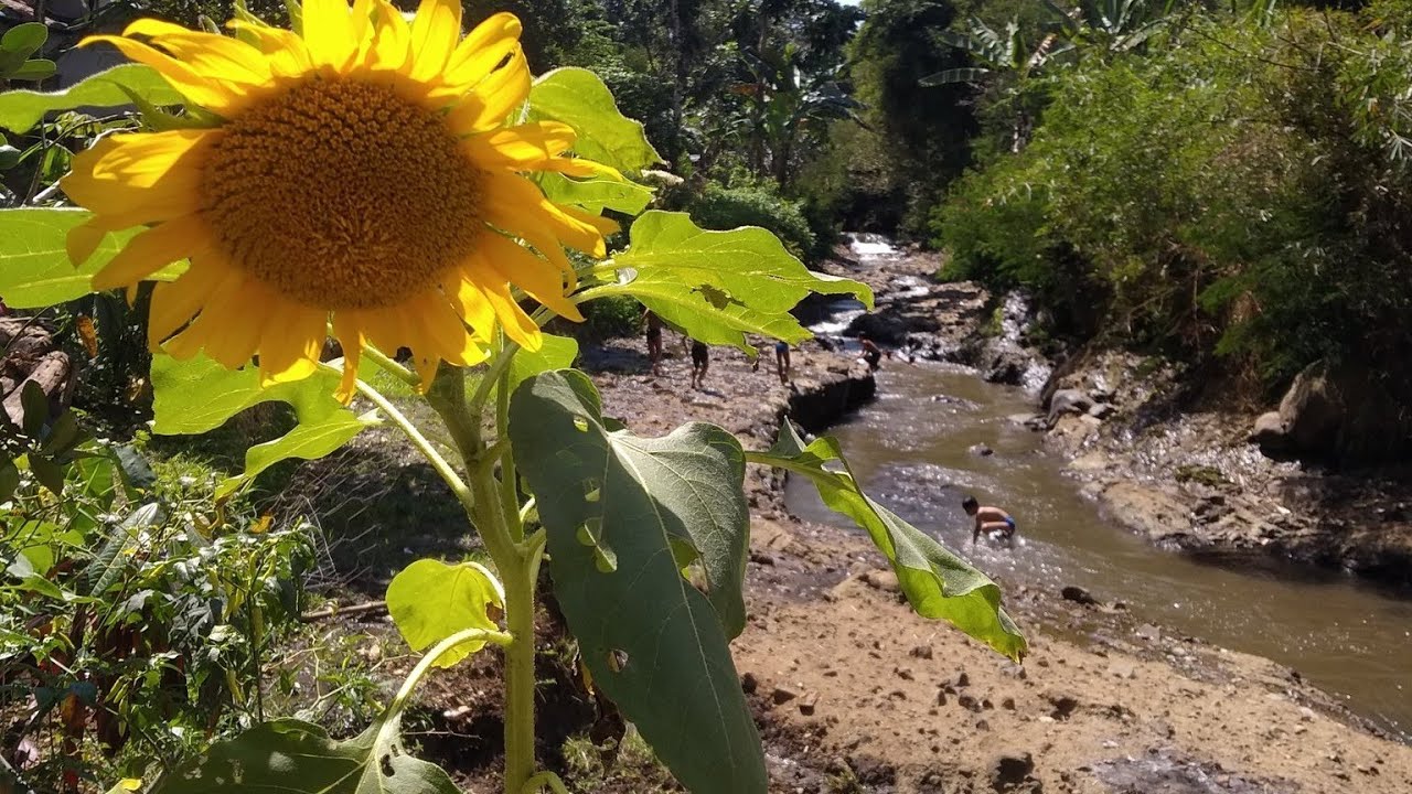 Cikapundung Trail Tersembunyi di Kawasan Dago || Bandung Outback - YouTube