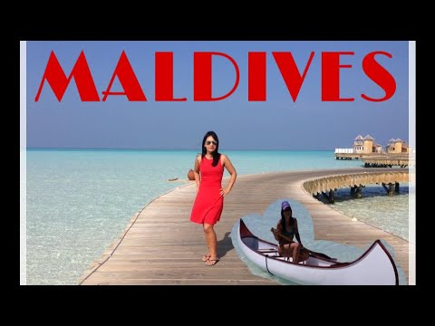 THE ADVENTUROUS MONKEY IN MALDIVES THE MOVIE - YouTube