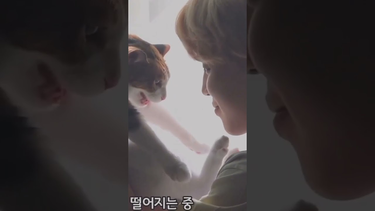remembering this jimin with the cat he's too precious💜#bts#shorts#jimin ...