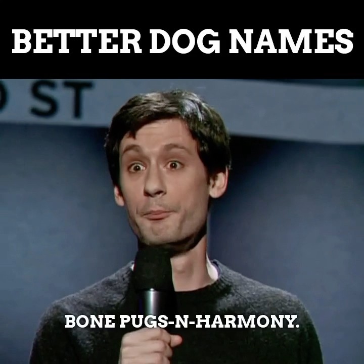 Wanna Feel Old? This Is What Stand-Up Comedy Shorts Looked Like In The ...