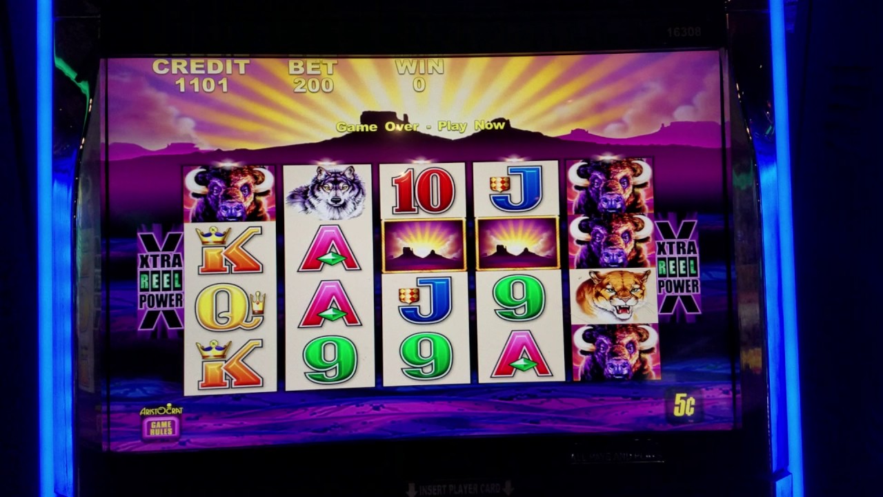 $100 Live Play at Buffalo Slot Machine - YouTube
