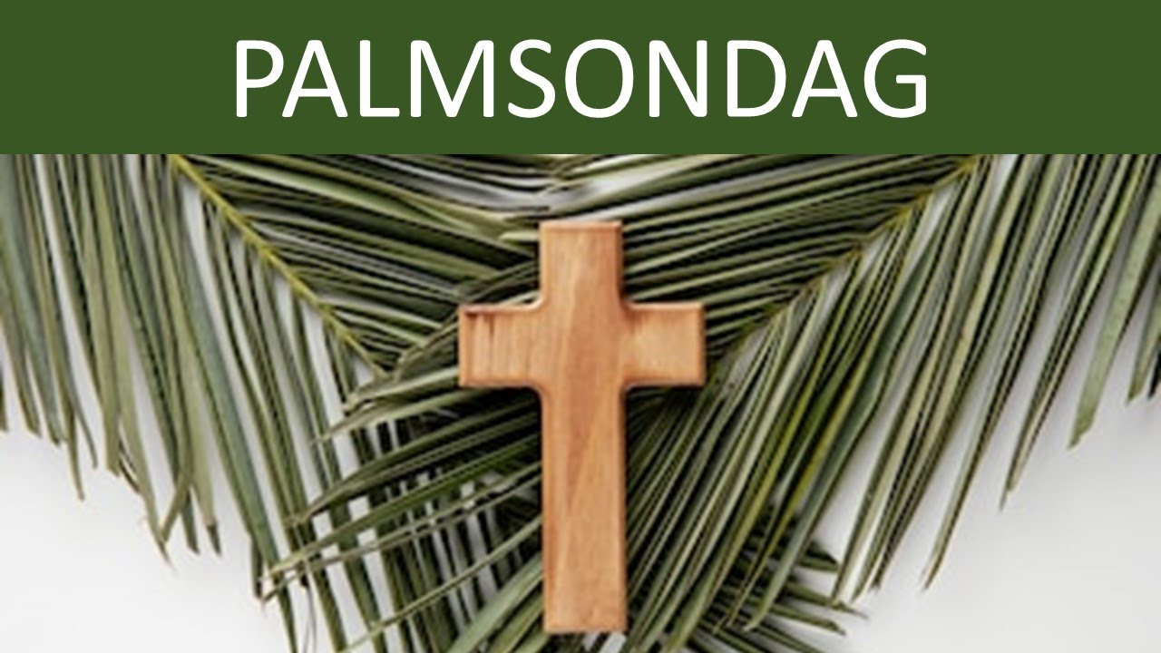 Tamboerskloof Gemeente: Palmsondag - 2 April 2023 om 10:00 (Gebruik die ...