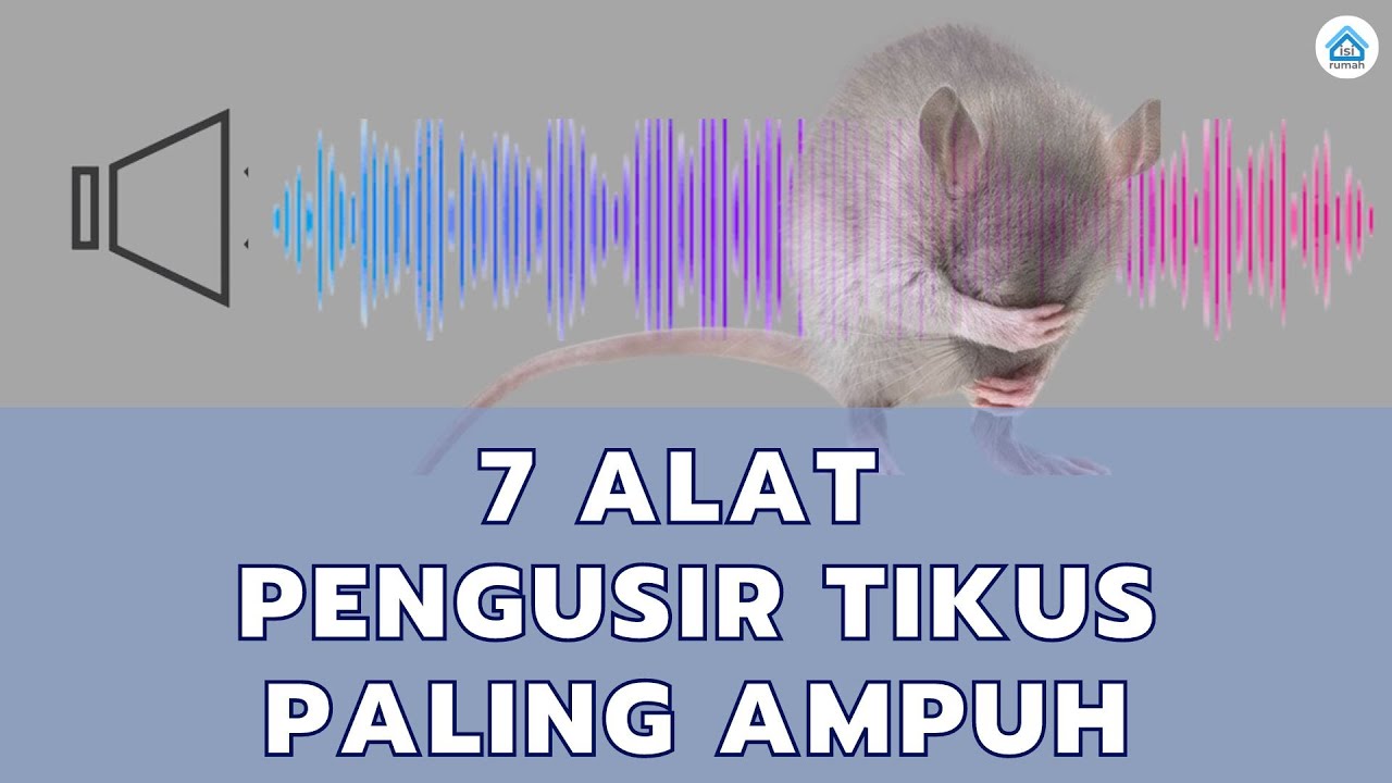 Rekomendasi 7 Alat Pengusir Tikus Paling Ampuh - YouTube