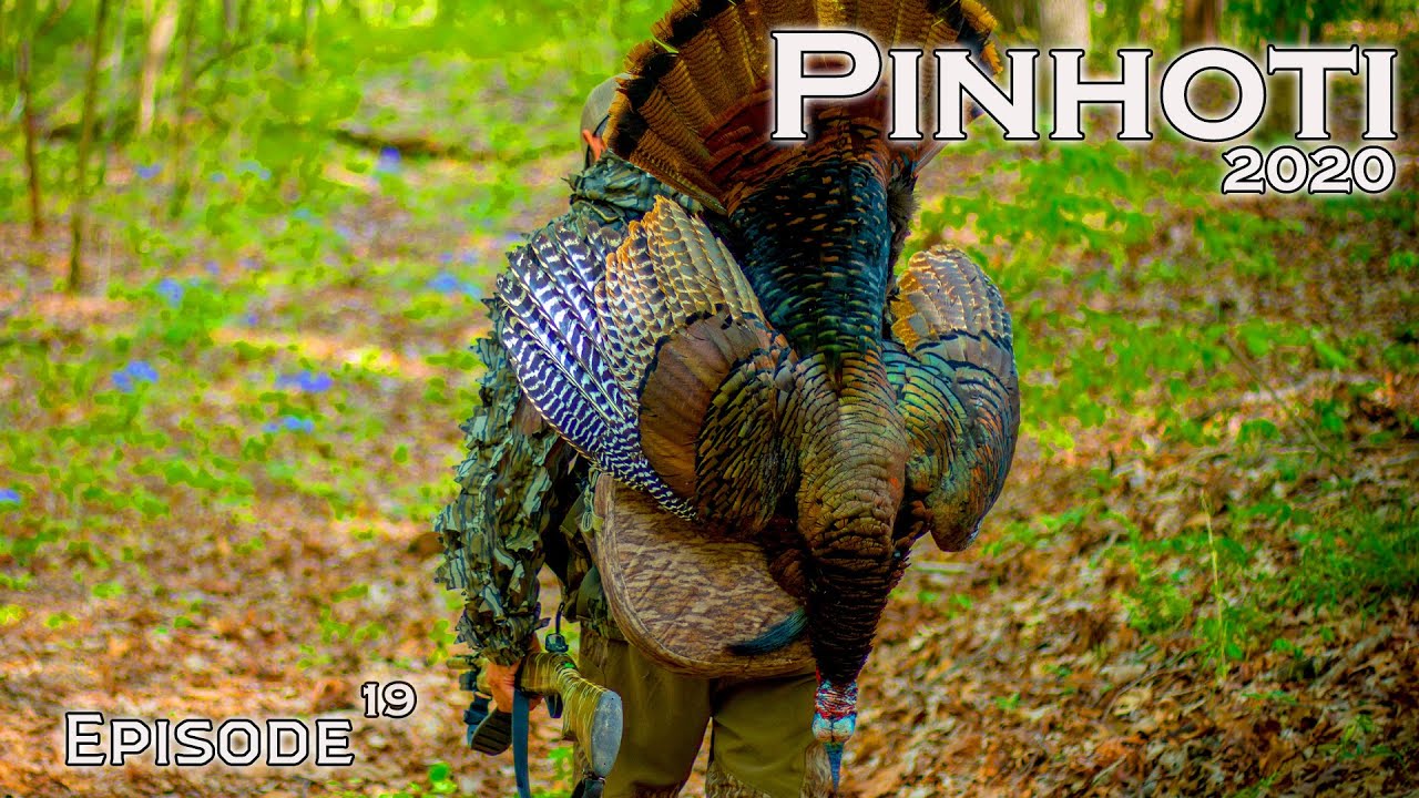 PUBLIC LAND GOBBLER at the BUZZER | ILLINOIS TURKEY HUNTING | MidWest ...