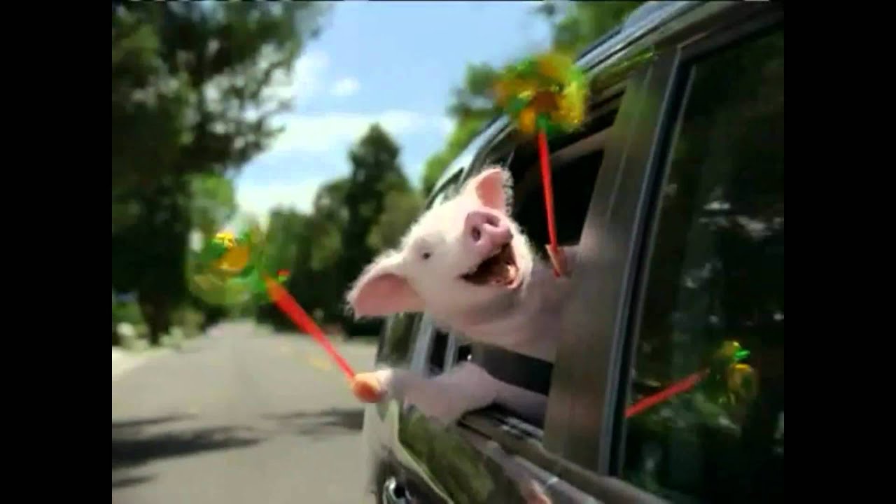 Guiles theme goes with everything (Geico pig). - YouTube