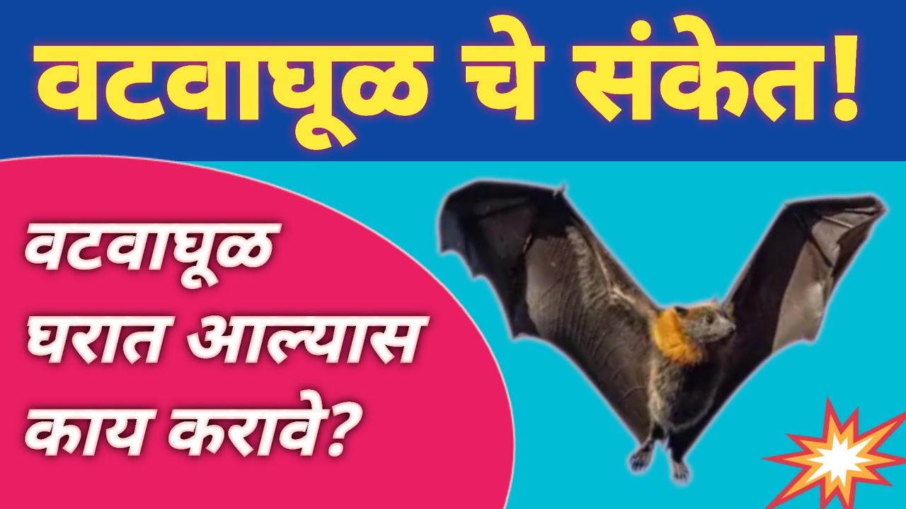 वटवाघूळ घरात येण्याचे संकेत | Vatvaghul Gharat Yene | Marathi ...