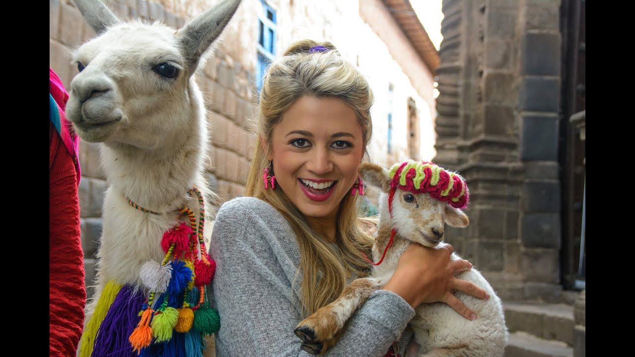 Llamas and goats: The Real Pets of Cusco - YouTube