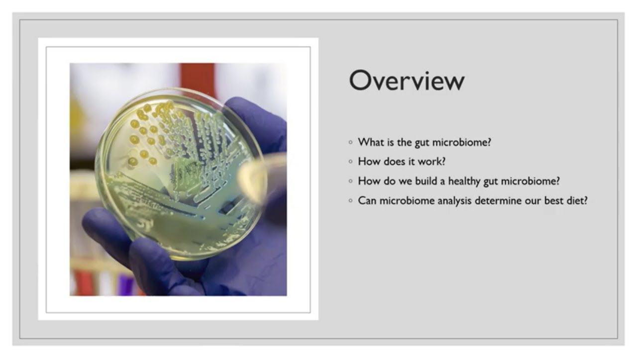 Building a healthy gut microbiome - YouTube
