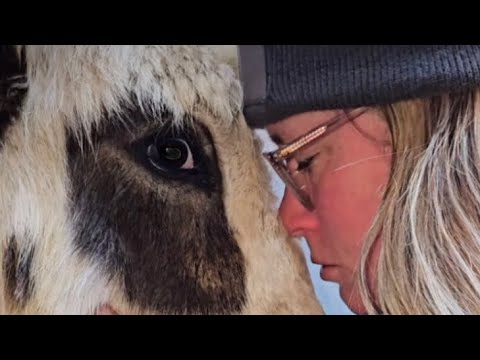 Goodbye Ellie - YouTube