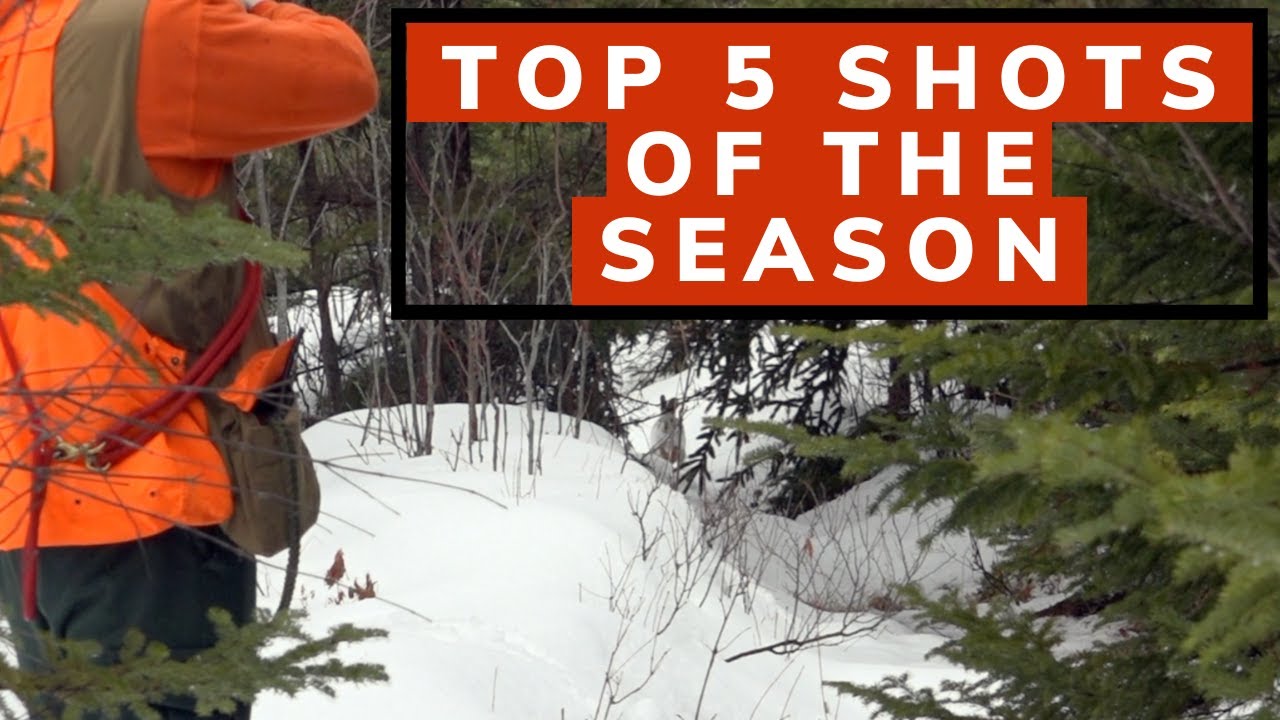 Top 5 Shots | 2019/2020 Hunting Season - YouTube