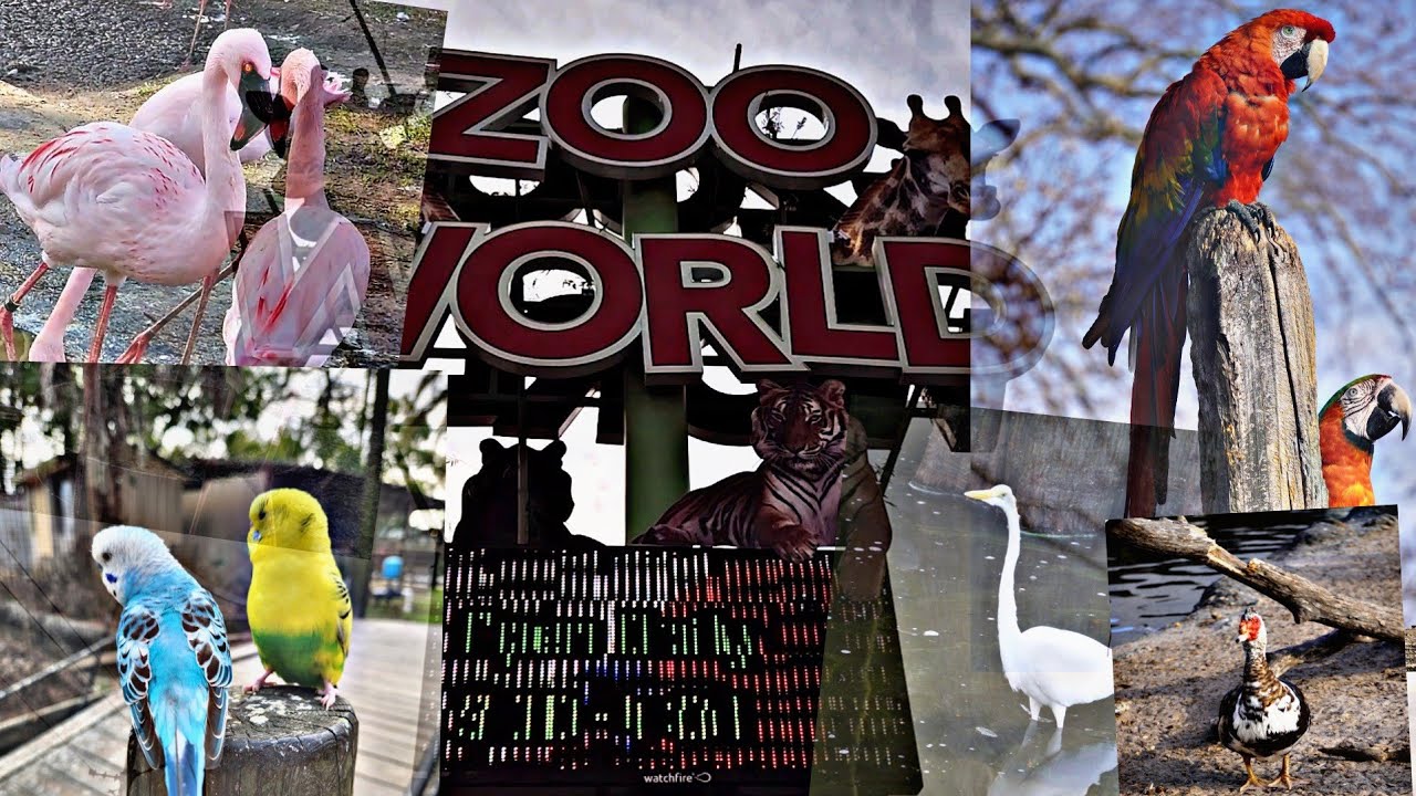 Zooworld Zoological Park | Panama City Beach Florida | Petting Zoo ...