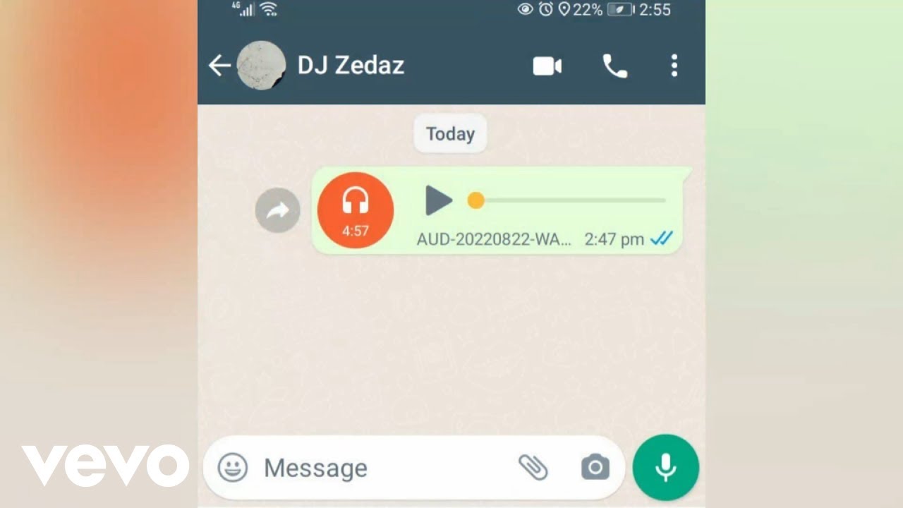 DJ Zedaz - AUD-20220822-WA0004 (Visualizer) - YouTube