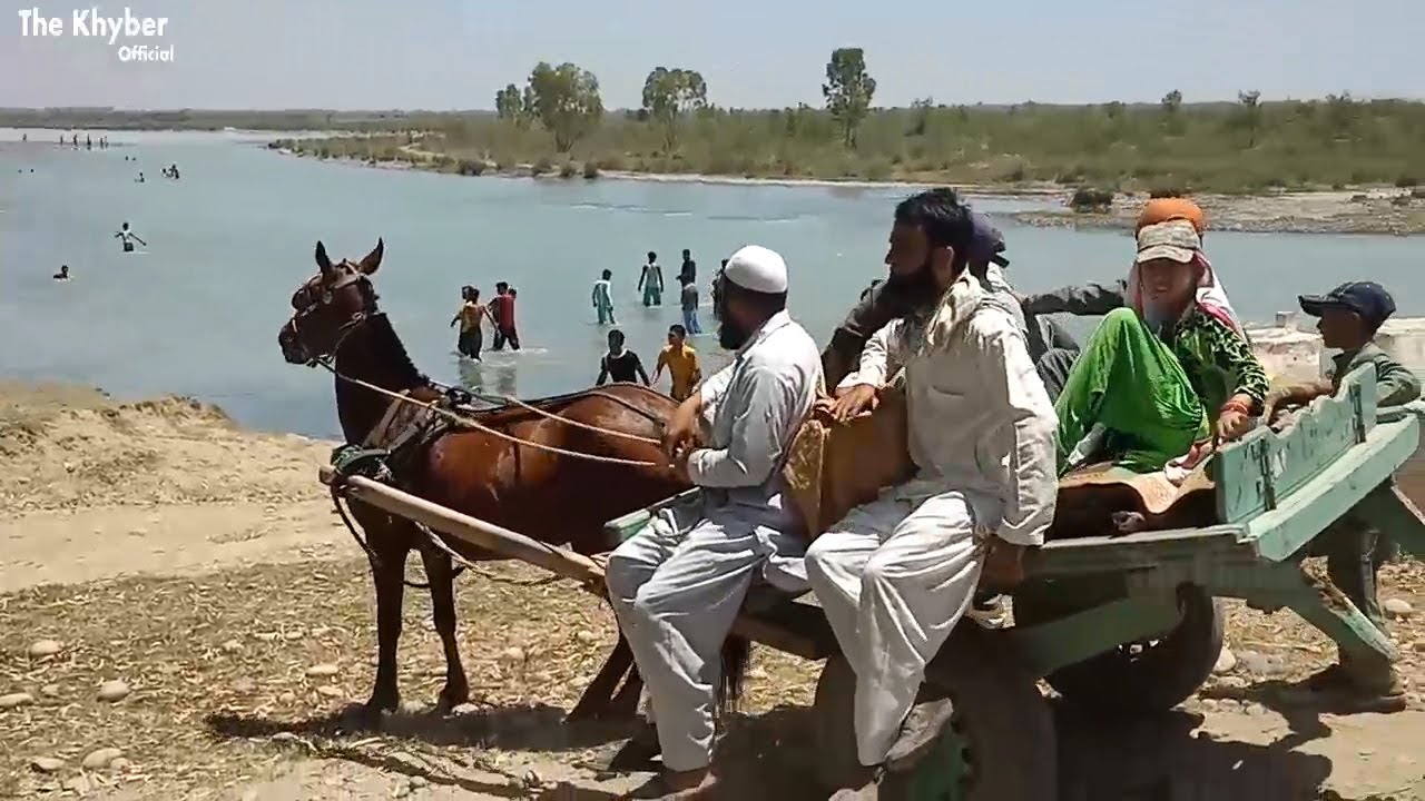 Kabul Ravir Food Party - Swabi Pakistan - kpk Khyber Pakhtunkhwa - YouTube