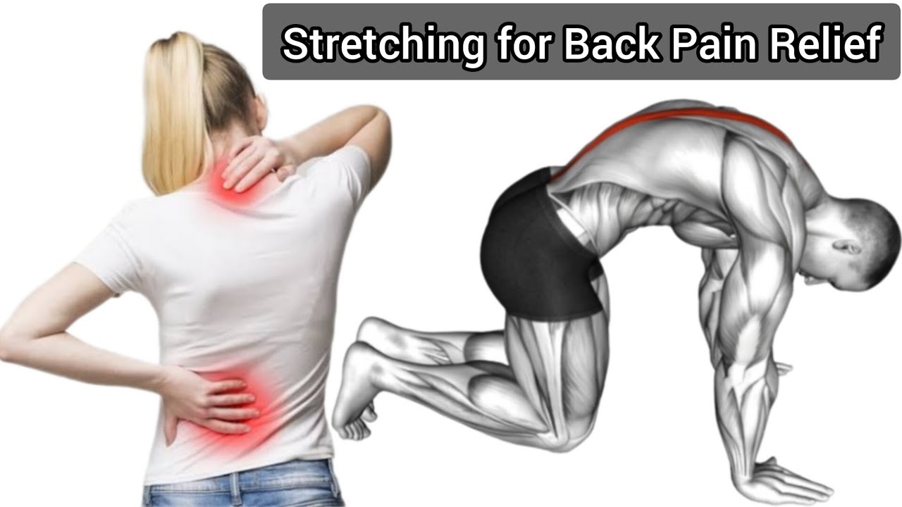 morning stretching for back pain relief | try this best stretching ...