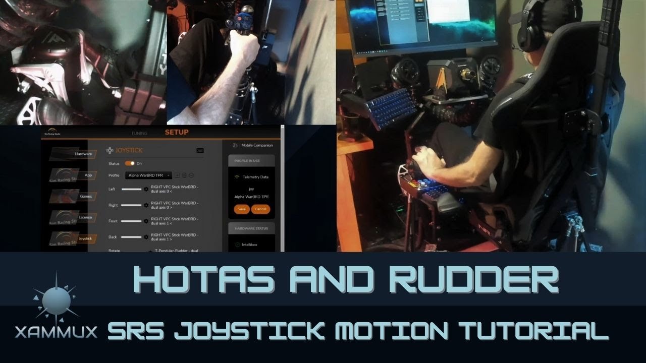 HOTAS and Rudder / Joystick Motion Tutorial for Sim Racing Studio - YouTube