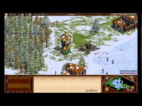 Age of Empires II: The Conquerors - Vikings vs Goths - YouTube