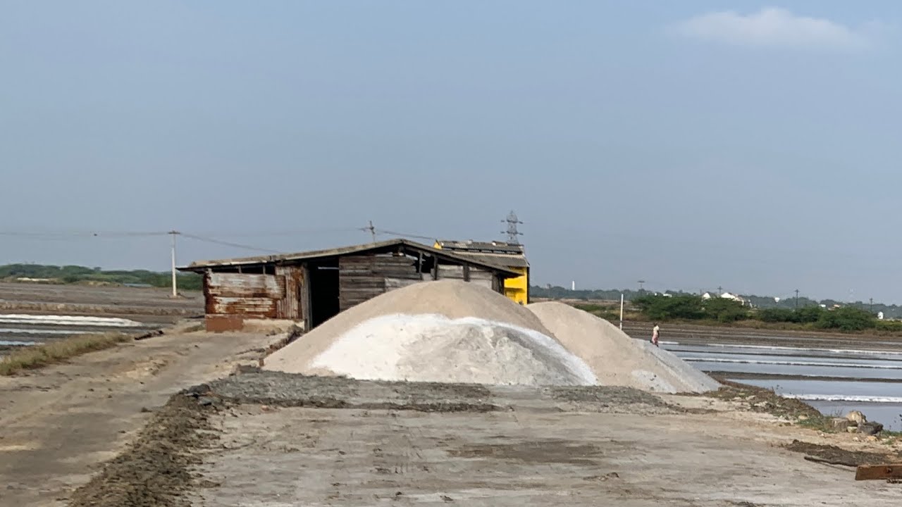 Salt production in Thoothukudi | Salt pans | Salt harvesting | Salt ...