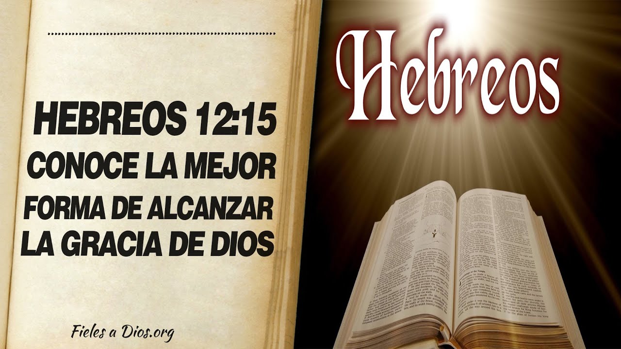🙏 Hebreos 12:15 – Conoce LA MEJOR FORMA DE ALCANZAR LA GRACIA DE DIOS 📖 ...