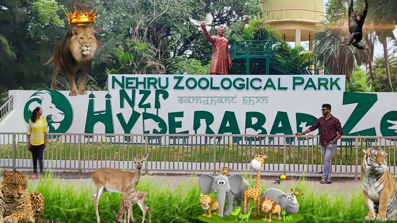 EXPLORING HYDERABAD ZOO 🦁🐘🦧 A WILD ADVENTURE NEHRU ZOOLOGICAL PARK 🏞 ...