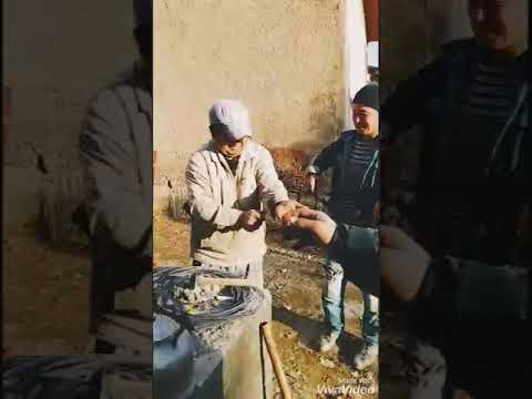 salim aka bowchilgi