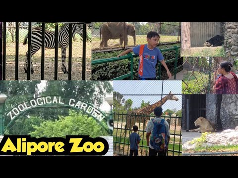 Alipore Zoo || Zoological Garden || kolkata - YouTube