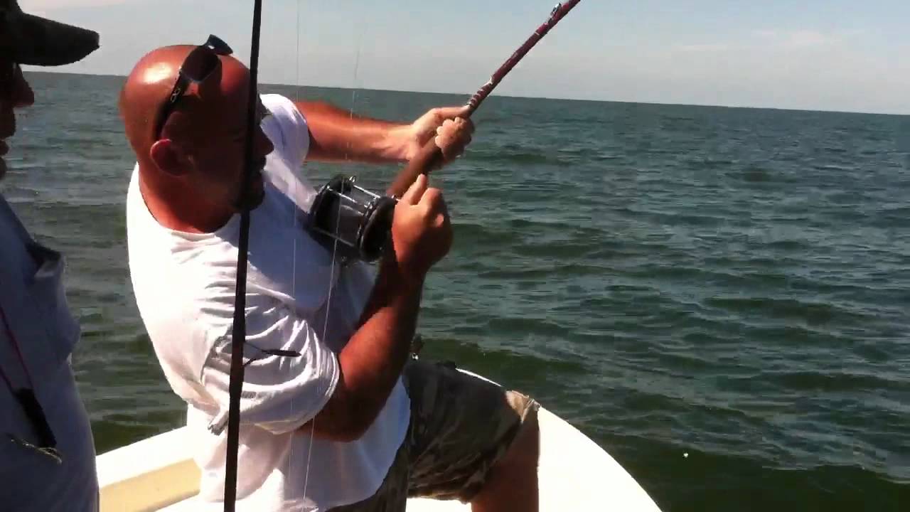 Super strong fish - YouTube