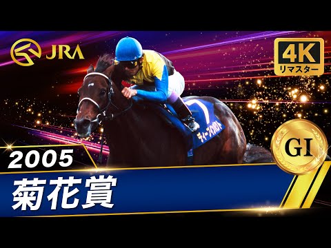 【4Kリマスター】2005年 菊花賞（GⅠ） | ディープインパクト | JRA公式