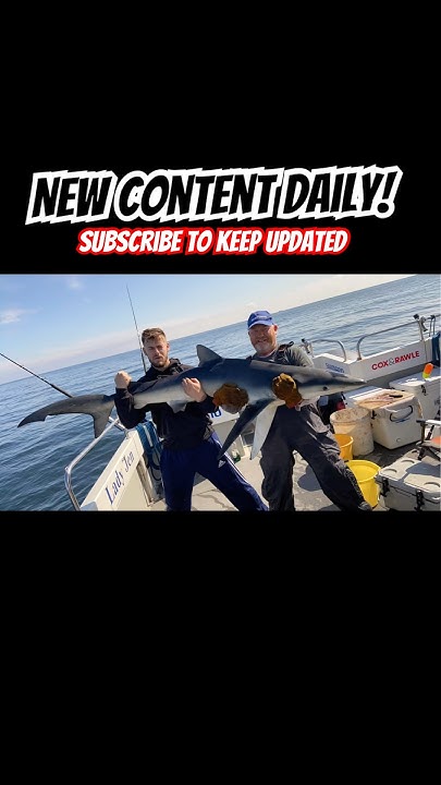 Shark Fishing! 🦈🇬🇧 (Subscribe) to keep updated. #shorts #shark #video #uk #viralshorts - YouTube