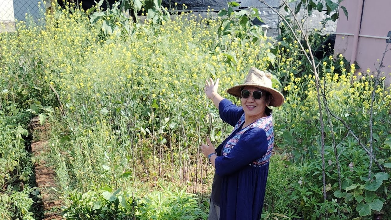 Kitchen Garden Tours, Native veggies Weekend Farming. Organic Farming ...