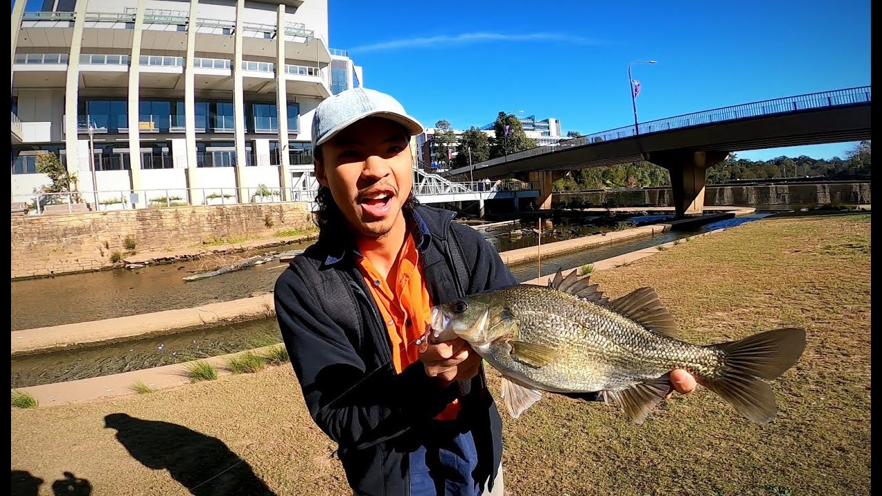 SUBURBAN Aussie Bass Fishing! - YouTube