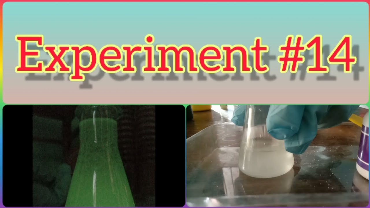 Experiment 14: Glowing Night Lamp Crazyscience #science #experiment ...