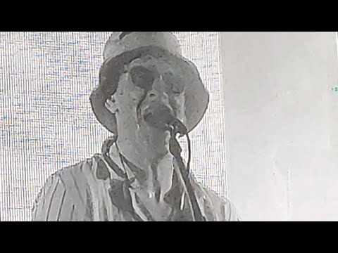 jungle - Casio. LIVE OUT 2022 - Monterrey - YouTube