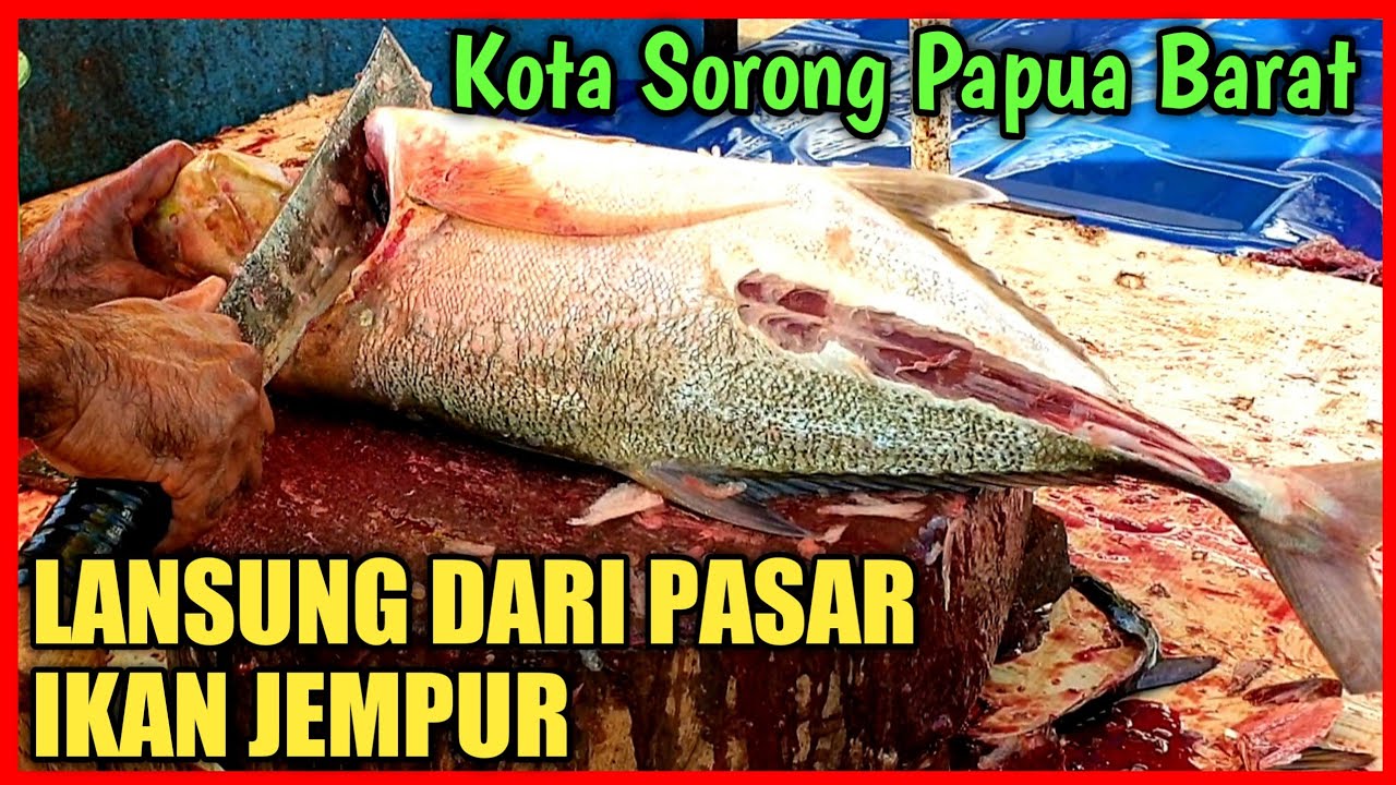 Cara Cepat Potong Ikan Mubara Segar Yang di Lakukan Oleh Pace Yakop ...