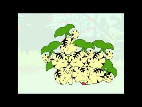 Pikachu Raichu ♪ Wild Dance - YouTube