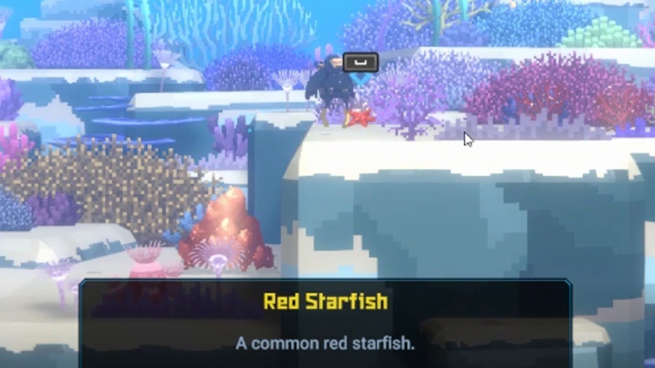 Where to Find Red Starfish in Dave the Diver - YouTube