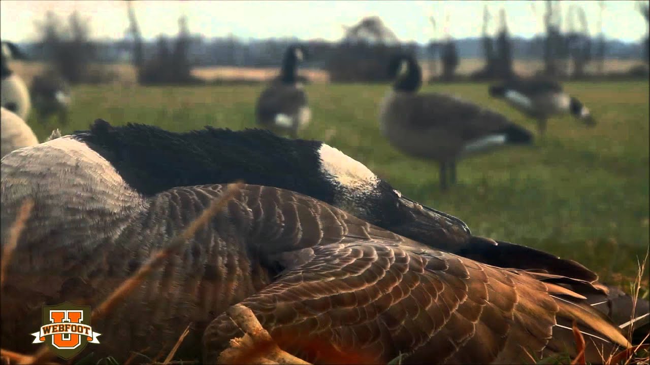 Bryant Clark Educational Hunt - YouTube