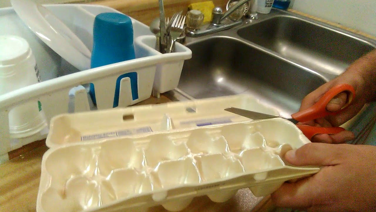 Making use of old egg cartons - YouTube