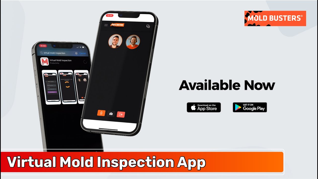 Virtual Mold Inspection App - Mold Busters 📲 Download Now📲 - YouTube