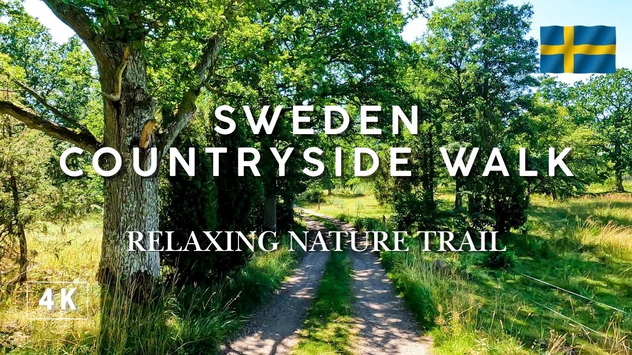 Summer Countryside Nature Walk in Sweden | 4K Video Virtual Walk on a ...