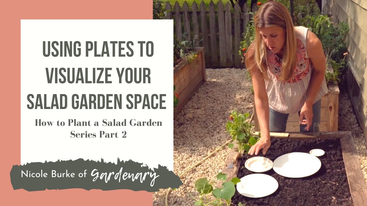 Using Plates to Visualize Your Salad Garden Space - How to Plant a ...