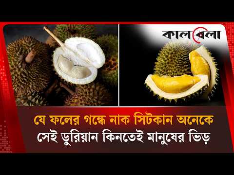 দুর্গন্ধের ফলেই এখন ক্রেতার ঢল, মালয়েশিয়ায় ডুরিয়ান উৎসব | Durian | Kalbela