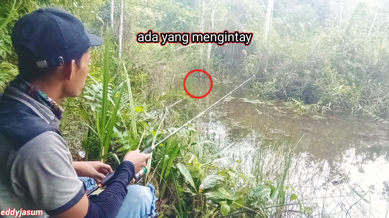 MANCING DI RAWA.. ternyata sudah ada yang menunggu dari tadi - YouTube