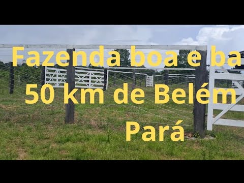 Fazenda com 275 hectares - YouTube